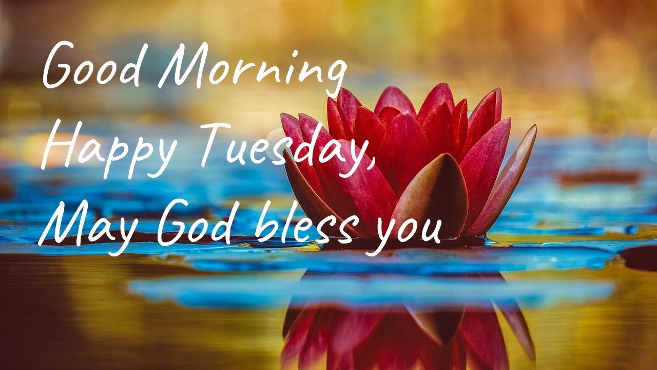 Positive Good Morning Tuesday Blessings: 7 Inspiring Quotes